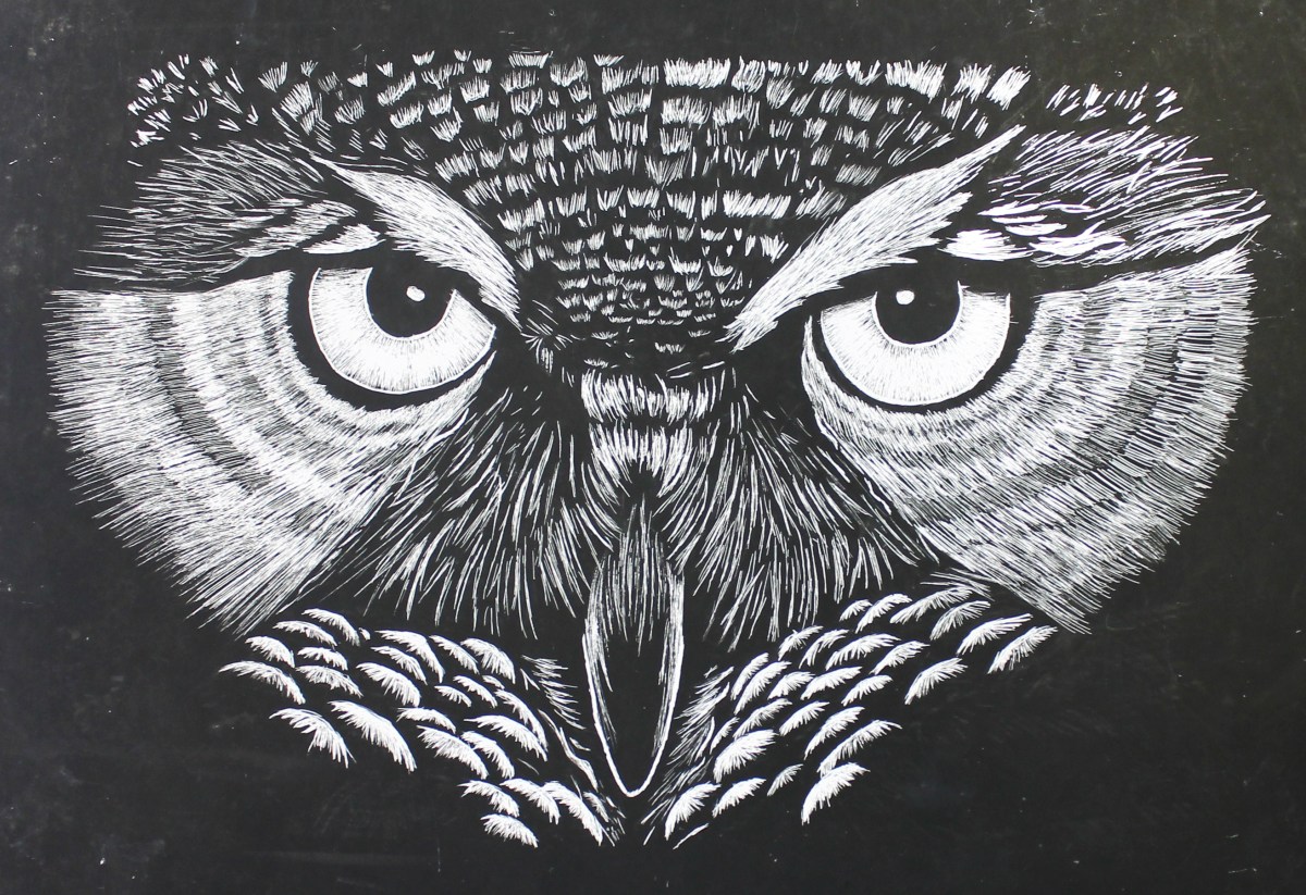 Scratchboard Animals – Sara Schulz